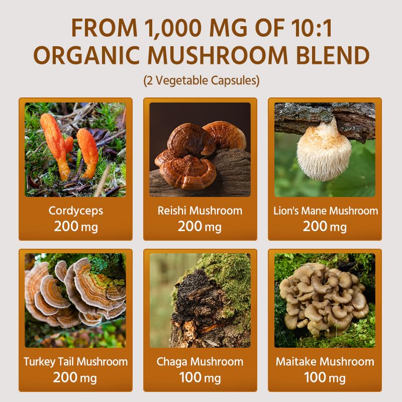 Reishi lion's mane capsules for health