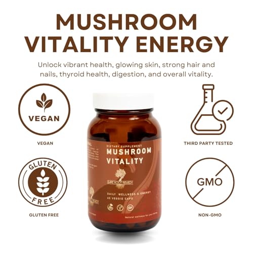 reishi lion's mane energy boost