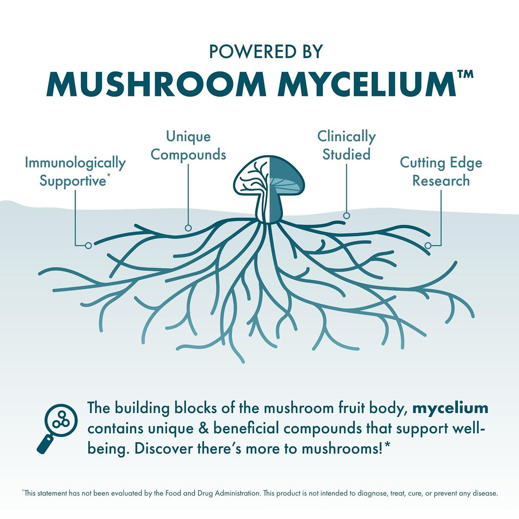 reishi mushroom adaptogen capsules