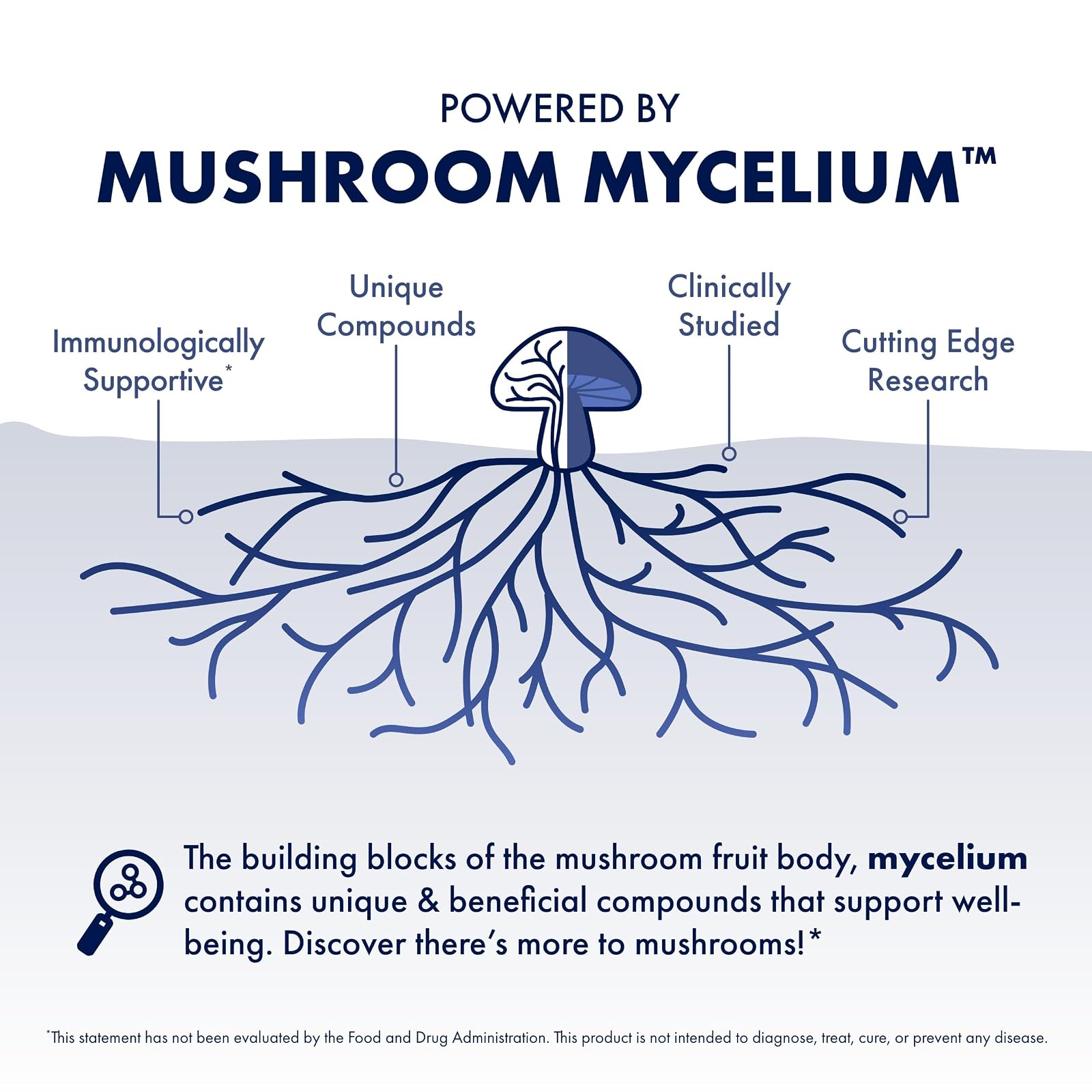 reishi mushroom adaptogen formula