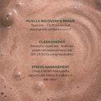 reishi mushroom adaptogen protein supplement