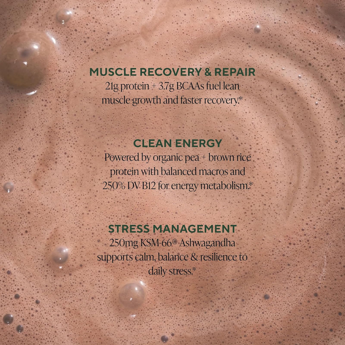 reishi mushroom adaptogen protein supplement