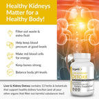 reishi mushroom benefits for kidneys
