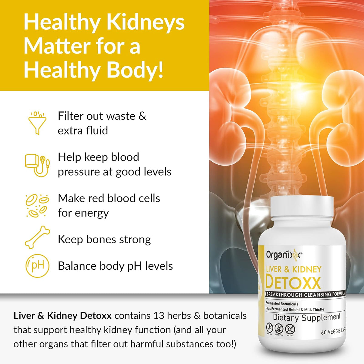 reishi mushroom benefits for kidneys