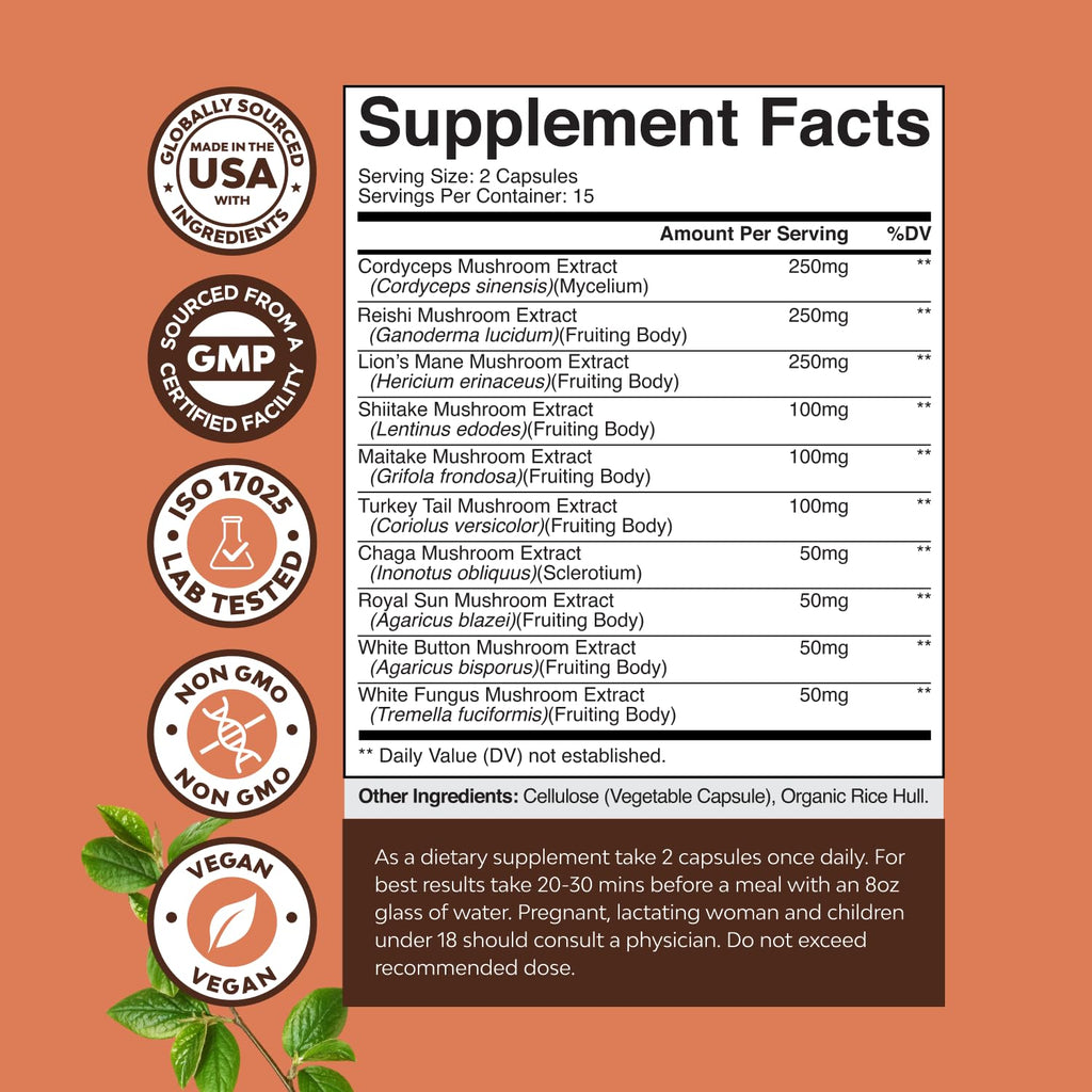 Reishi mushroom benefits for wellness