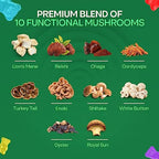 reishi mushroom benefits in gummy form