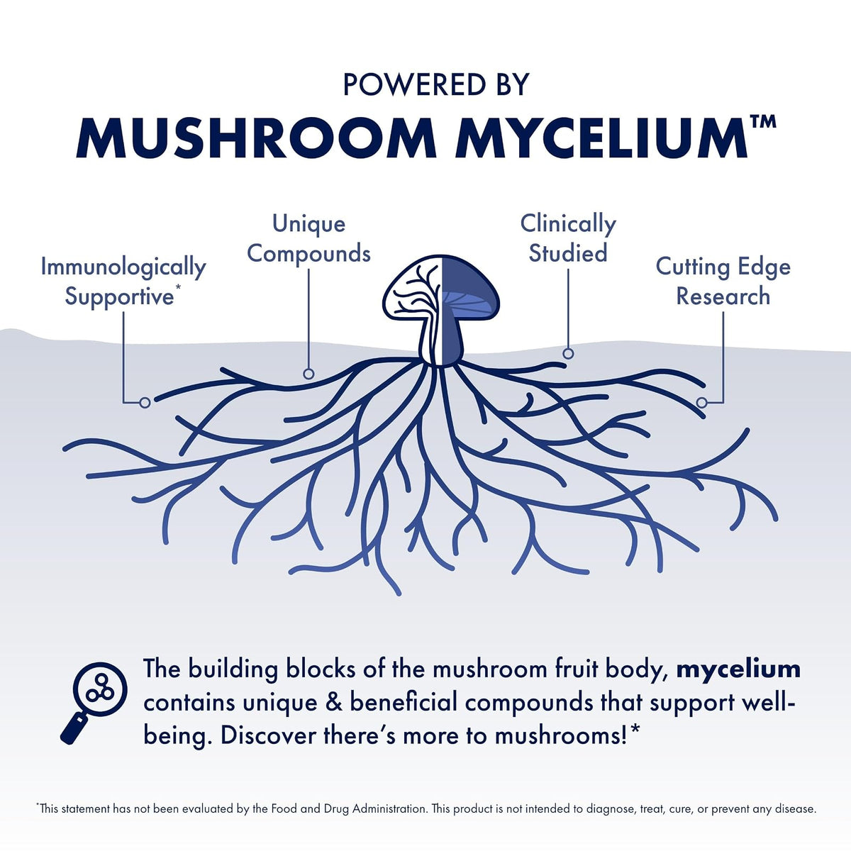 Reishi mushroom blend for stress relief