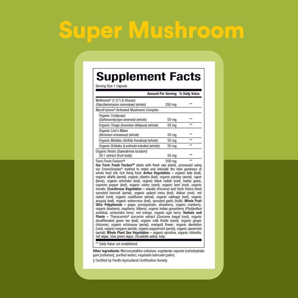 reishi mushroom calming properties
