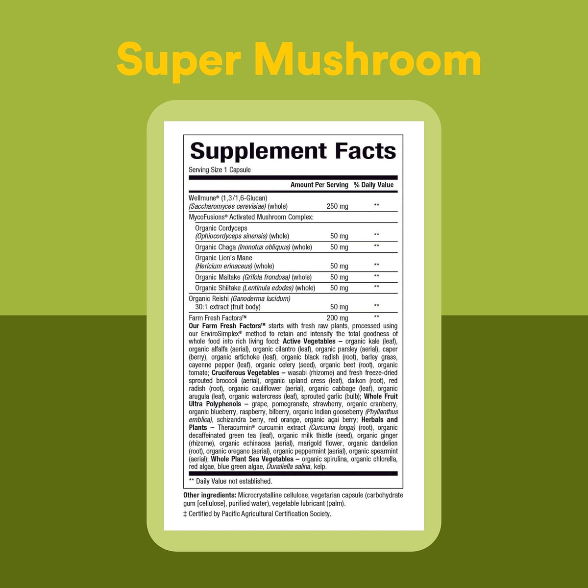 reishi mushroom calming properties