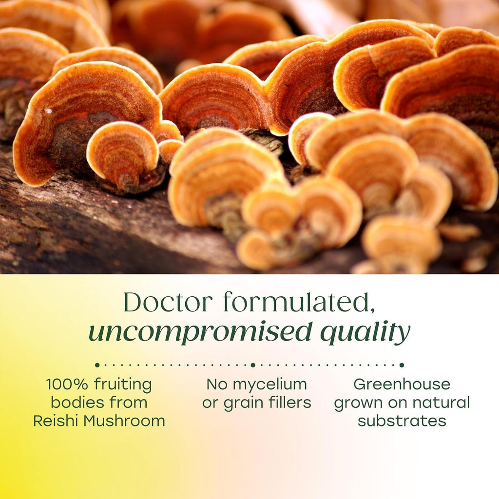 reishi mushroom capsules for calmness