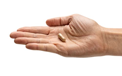 Reishi mushroom capsules for daily health