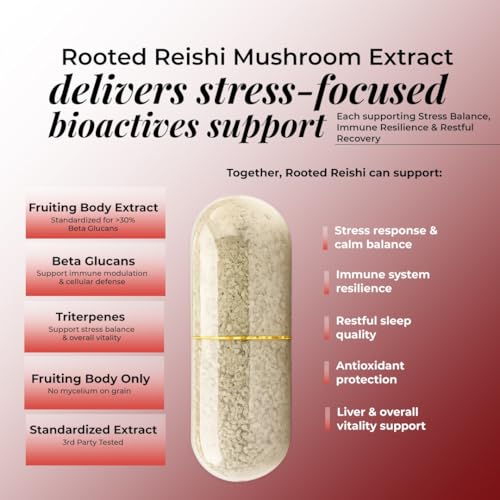 reishi mushroom capsules for daily vitality