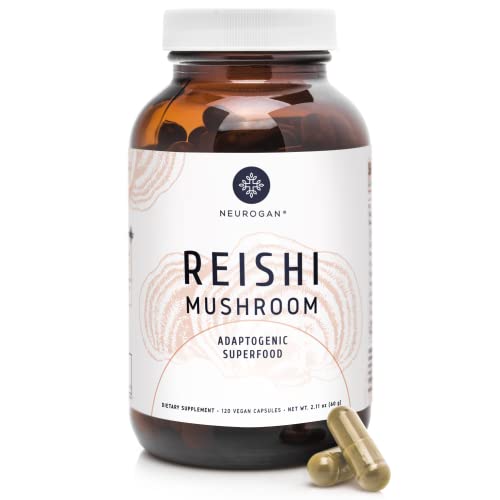 Reishi mushroom capsules for mood support