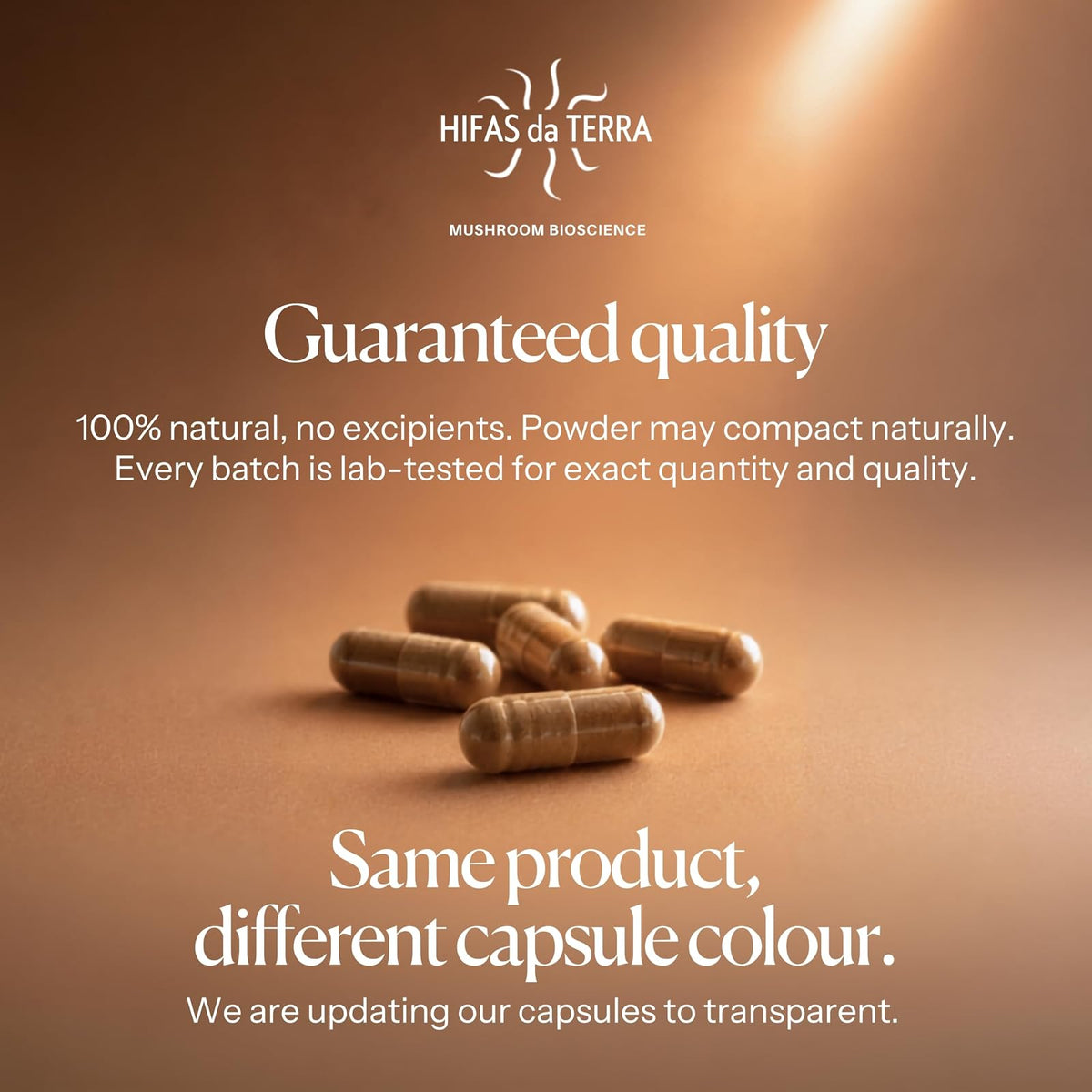 reishi mushroom capsules for relaxation