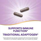 reishi mushroom capsules for stress relief