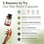 reishi mushroom capsules for stress relief