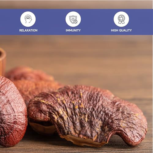 Reishi mushroom capsules for vitality