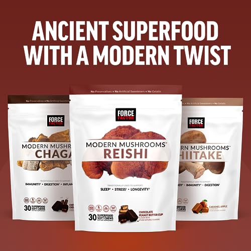 Reishi mushroom chews for overall health