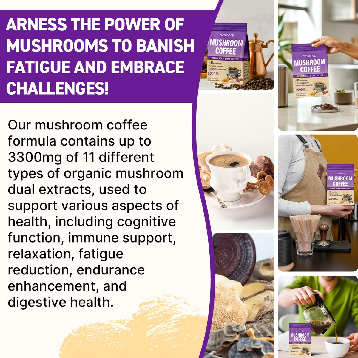 reishi mushroom coffee for relaxation
