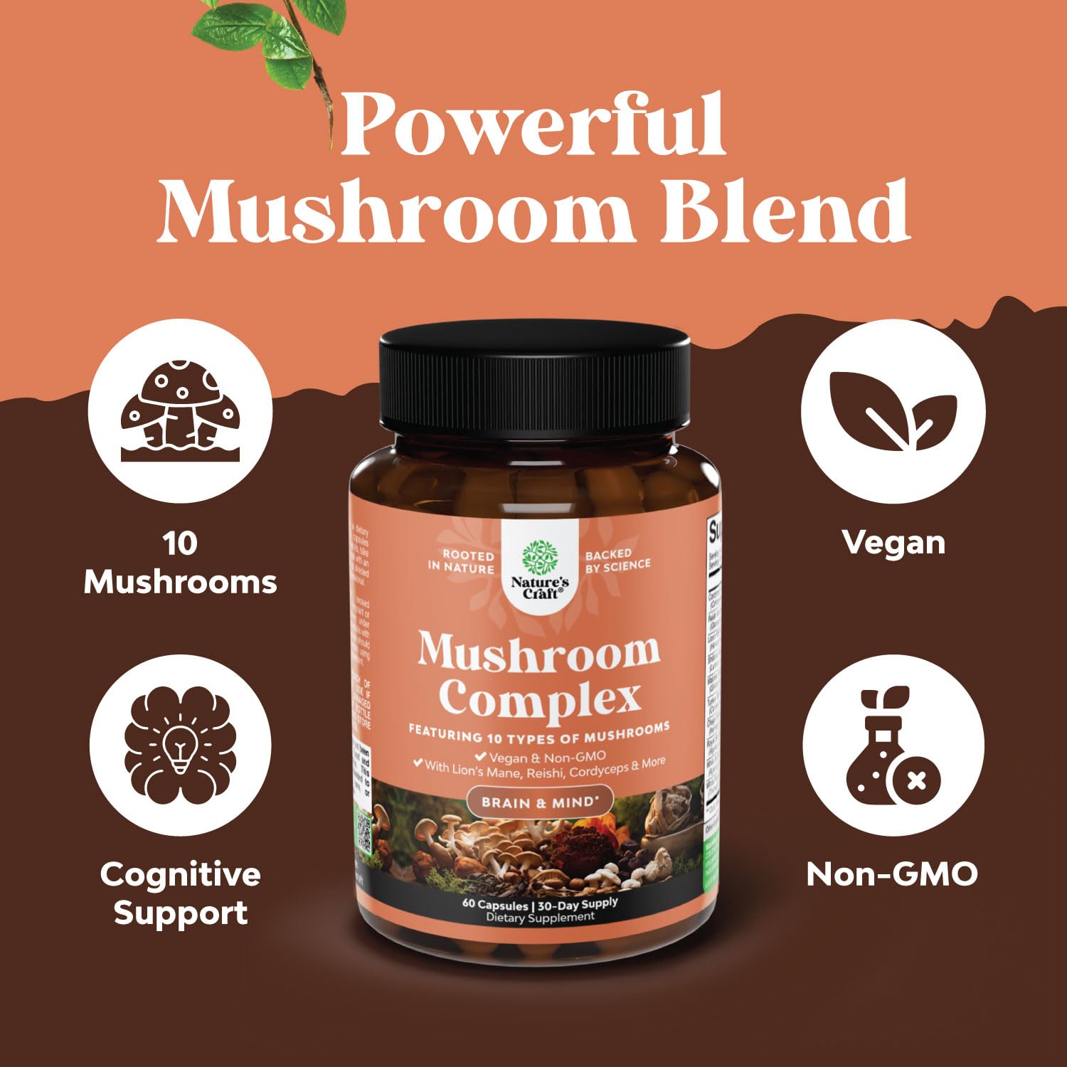 Reishi mushroom complex for stress relief