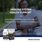 reishi mushroom complex for wellness