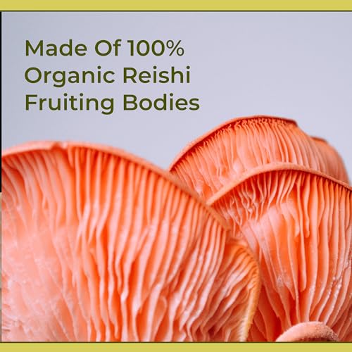 reishi mushroom drops for daily use
