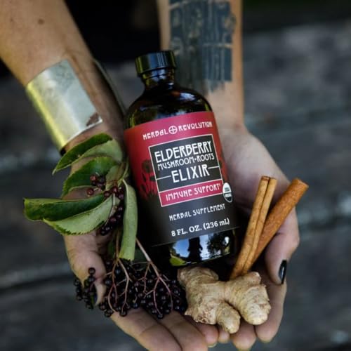 reishi mushroom elderberry blend benefits