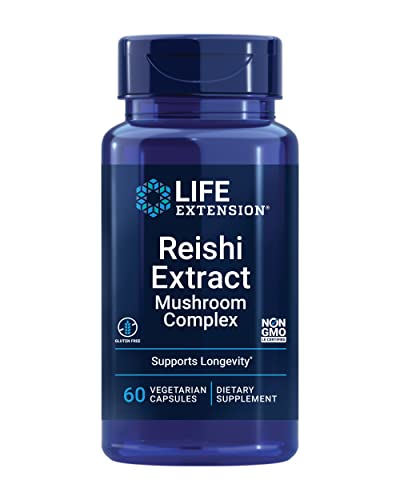 reishi mushroom extract capsules