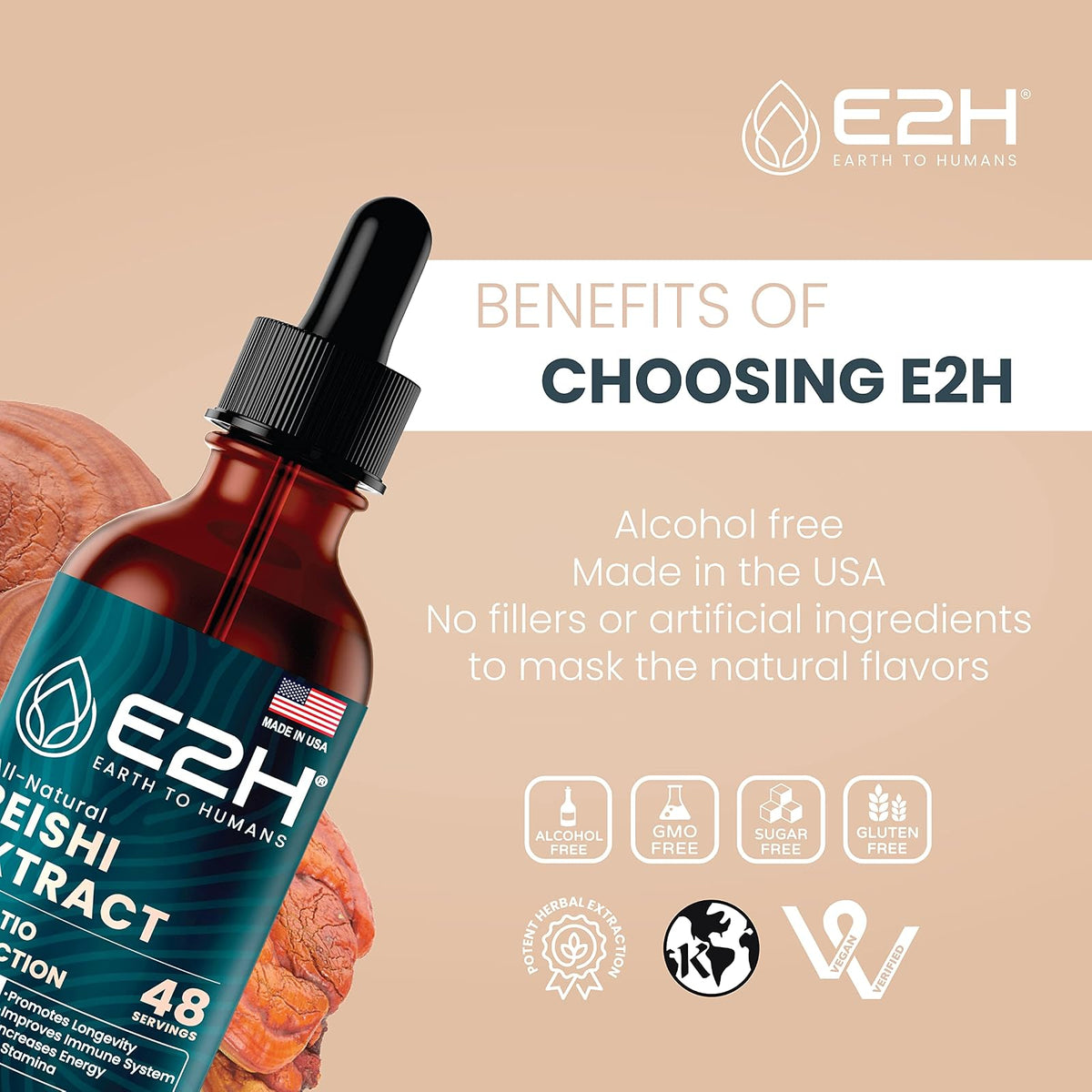 reishi mushroom extract for daily energy