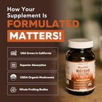 reishi mushroom extract for stress relief