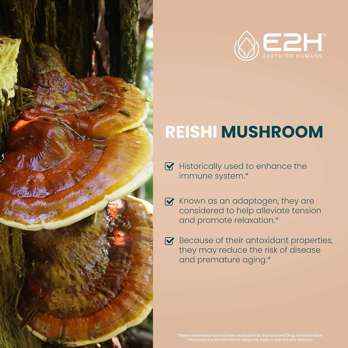 reishi mushroom extract for stress relief