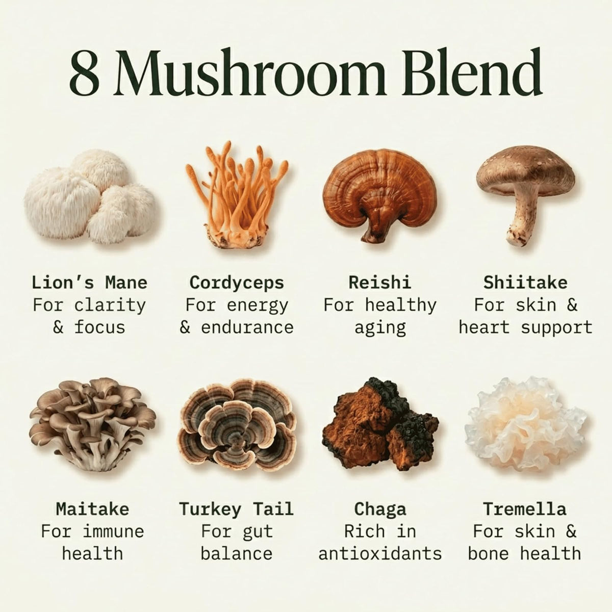 reishi mushroom extract for wellness
