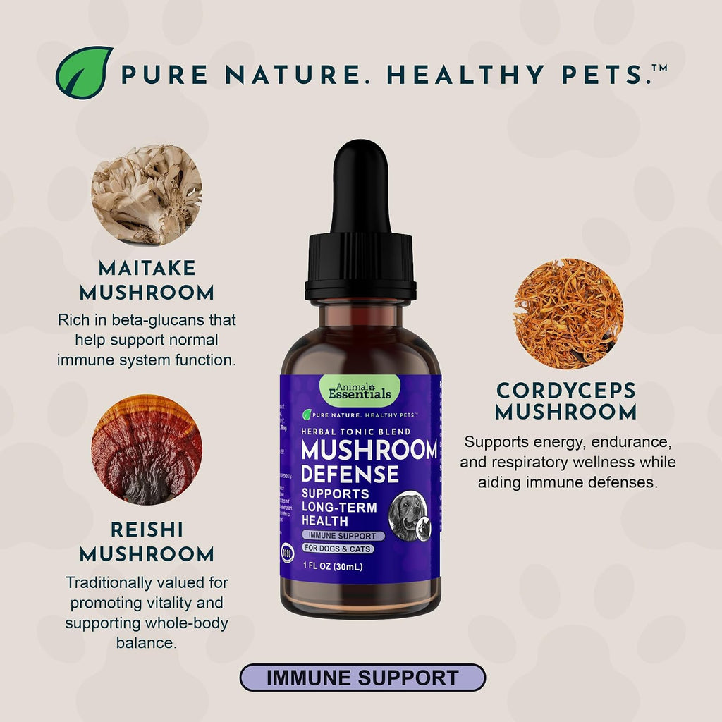 reishi mushroom for immune support