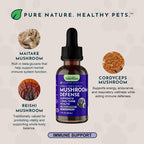 reishi mushroom for immune support