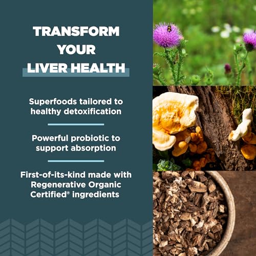 reishi mushroom for liver wellness