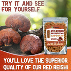 reishi mushroom for relaxation