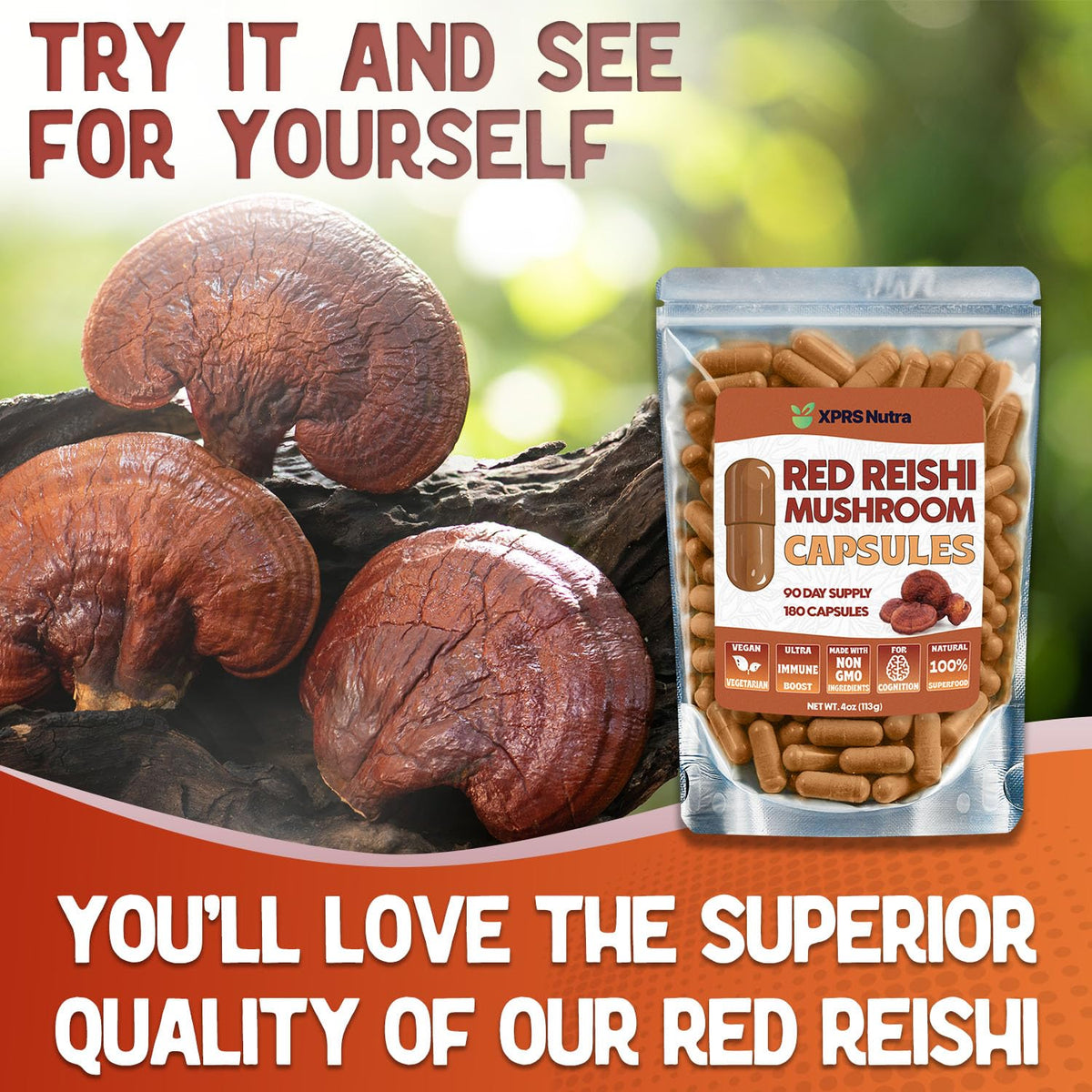 reishi mushroom for relaxation