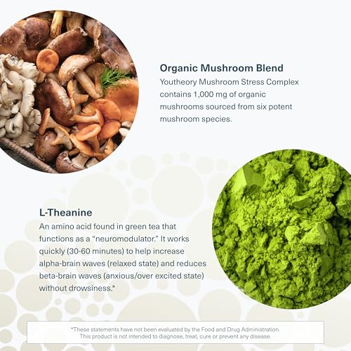 reishi mushroom for relaxation