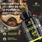 reishi mushroom for stress relief