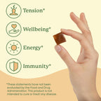reishi mushroom for stress relief