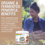 reishi mushroom for stress relief
