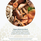 reishi mushroom for stress relief