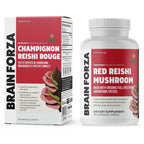 reishi mushroom for stress relief
