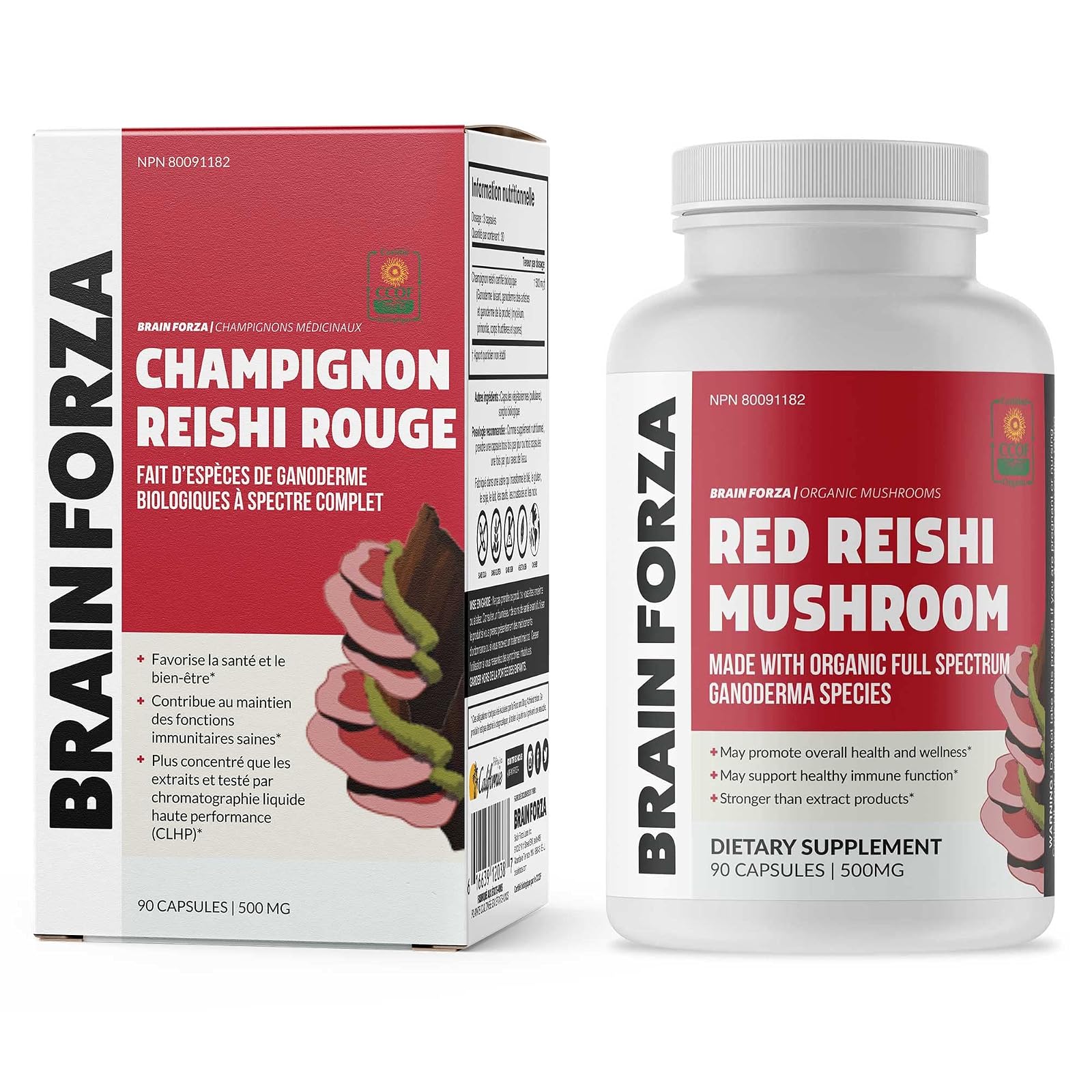 reishi mushroom for stress relief