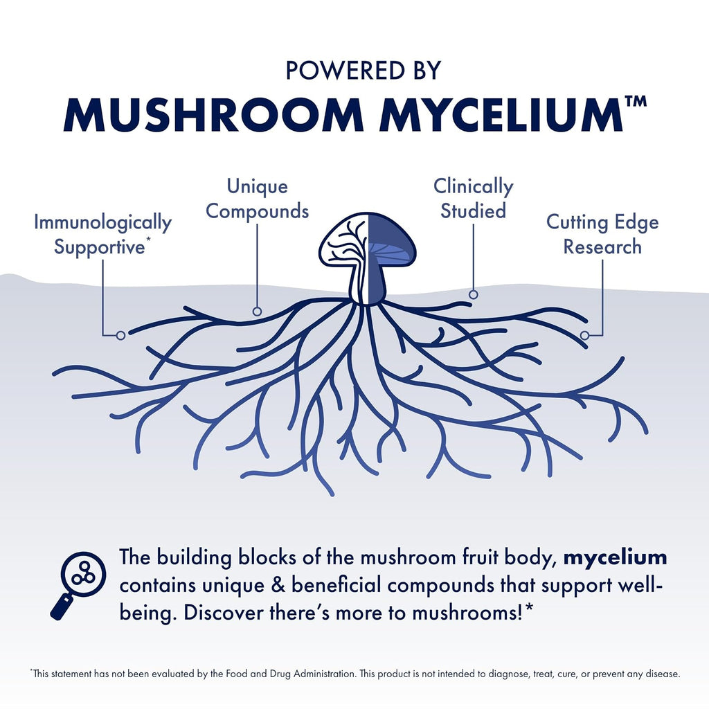 reishi mushroom for stress relief