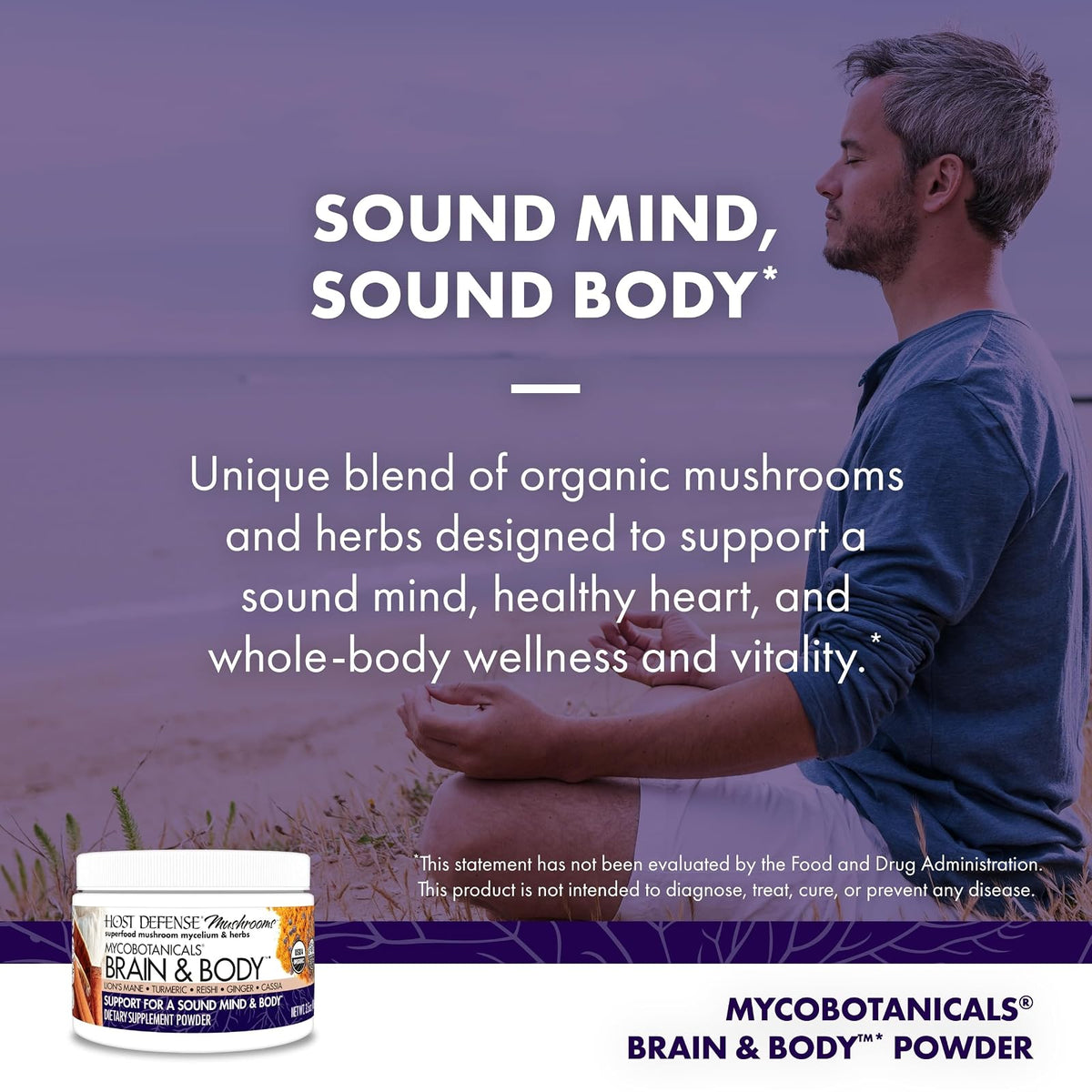 Reishi mushroom for stress relief