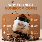 reishi mushroom for stress relief
