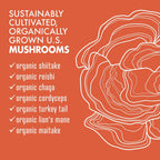 reishi mushroom for stress relief