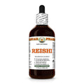 Reishi mushroom glycerite benefits