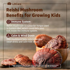 Reishi mushroom gummies for better sleep